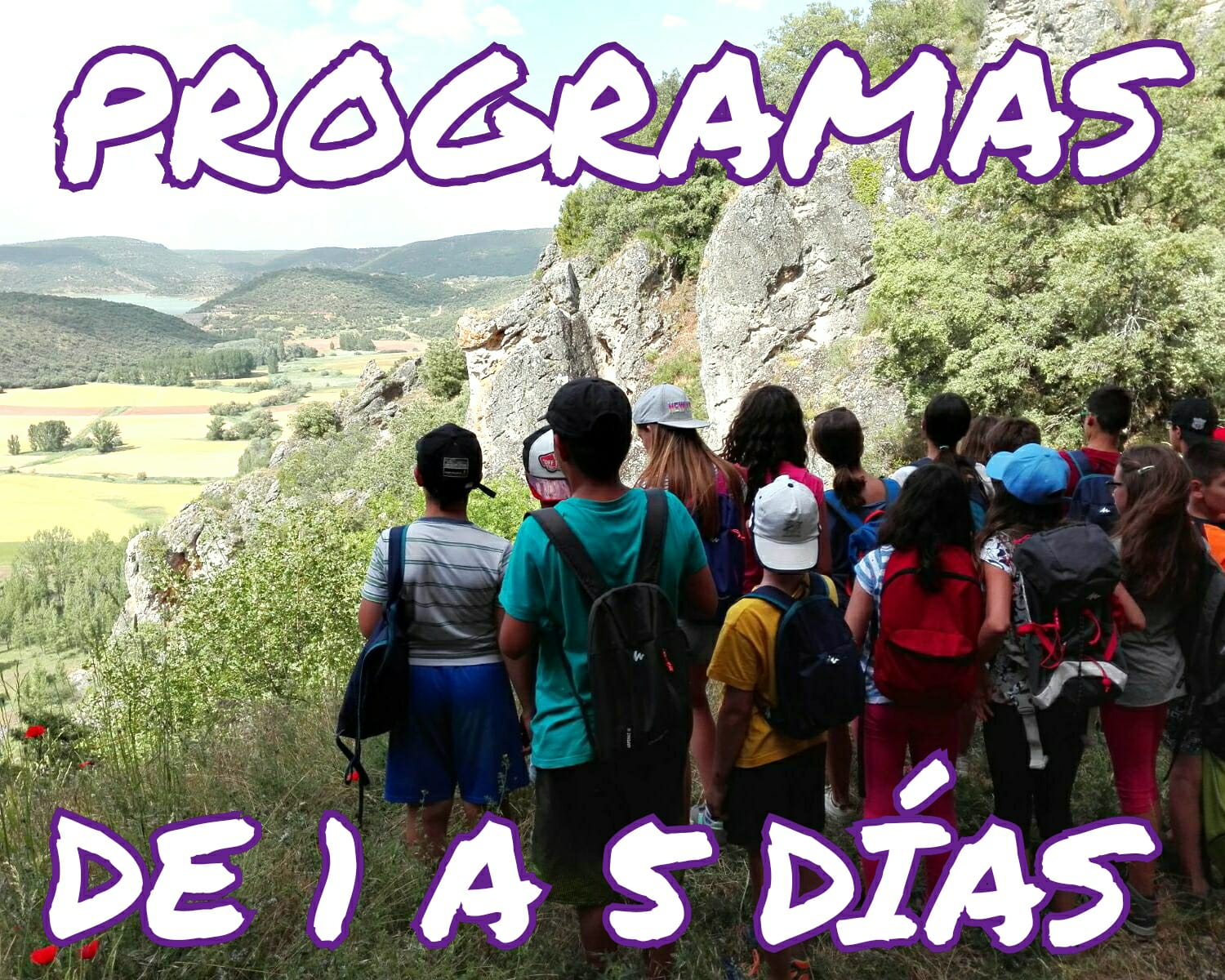 Programas escolares – Pekito's animación